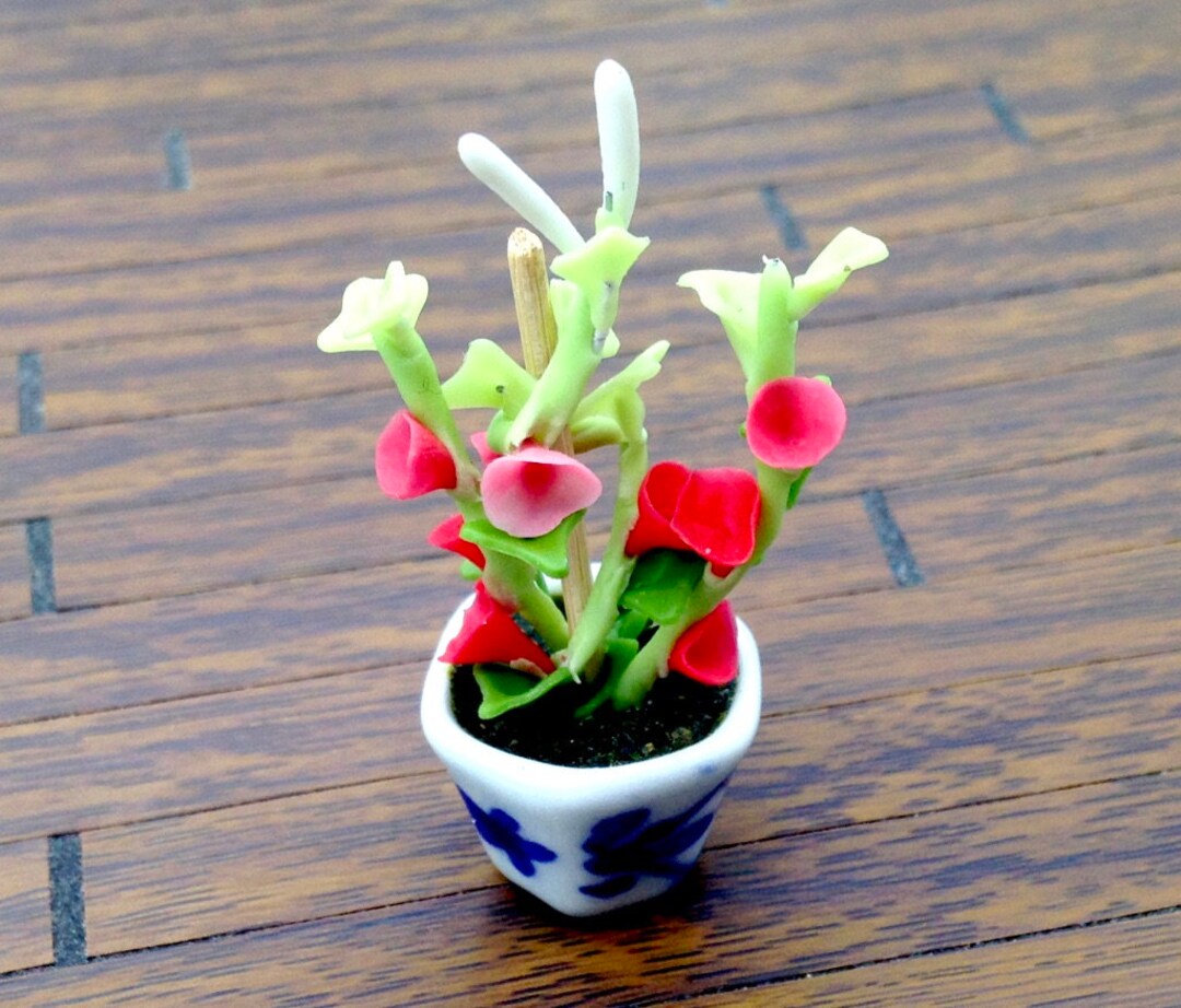 Miniature Dollhouse Artificial Flower Plant Morning Glory Red Clay ...