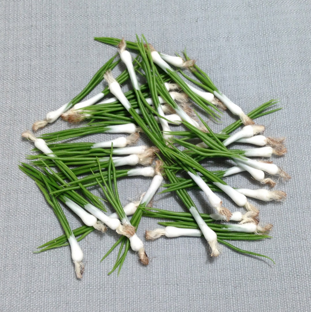 10 Miniature Dollhouse Green White Leeks Spring Onions Scallions Clay ...