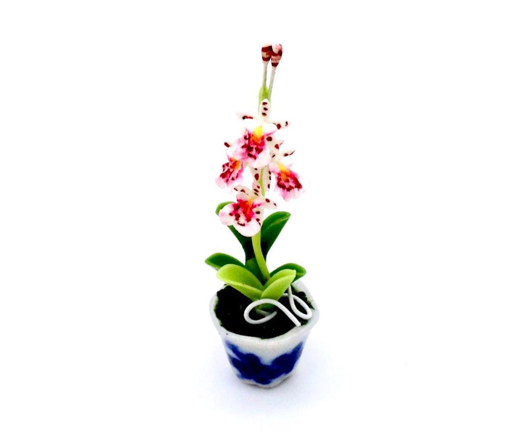 Miniature Dollhouse Artificial Flower Plant Dancing Lady Orchid White ...