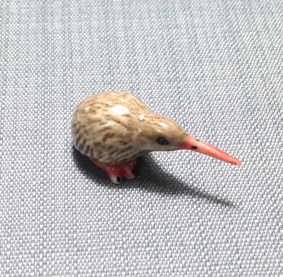 Cute Kiwi Animal