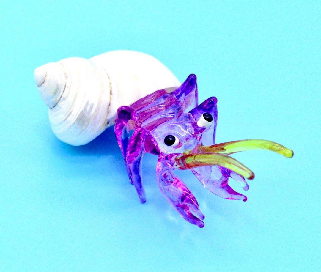 Miniature Glass Hermit Crab Sea Shellfish Animal Cute Purple Natural ...