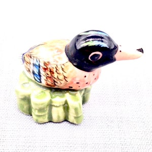 Miniature Ceramic Duck Bird Animal Cute Tiny Baby Brown Black Green ...