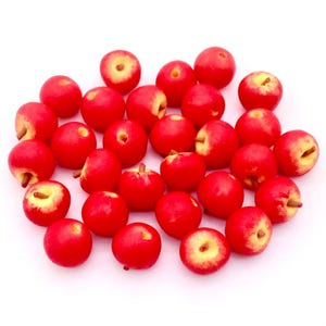 20 Miniature Dollhouse Fresh Red Apples Round Fruit Clay Polymer Fruits ...