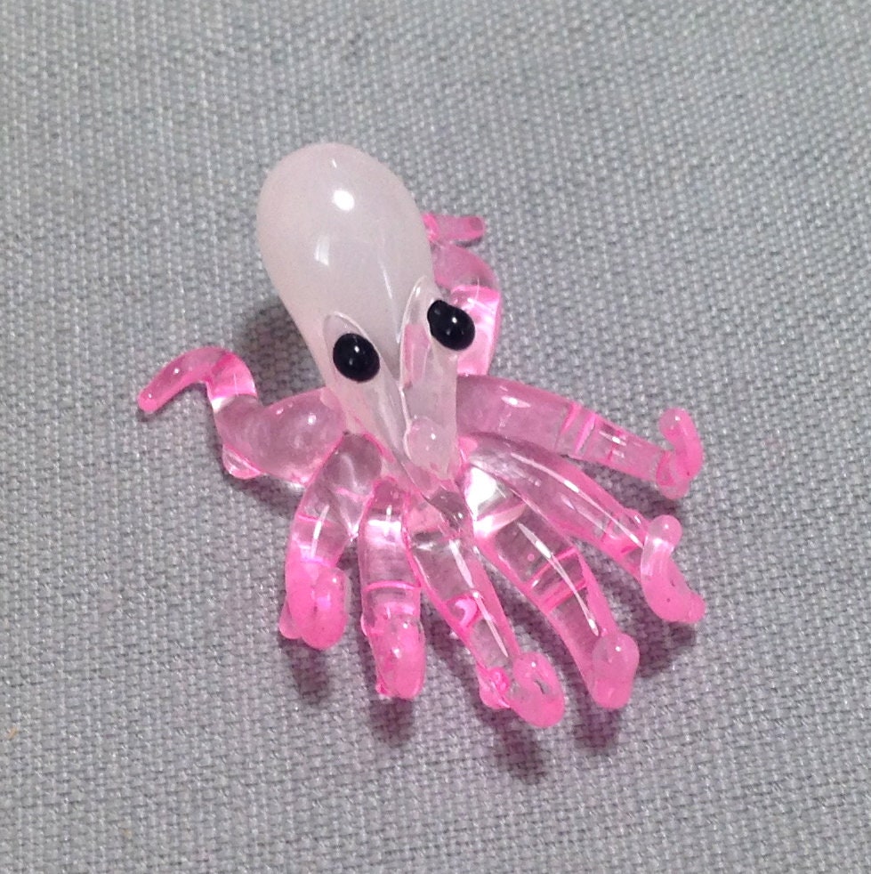 Cute Real Octopus