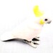 Miniature Ceramic Parrot Exotic Bird Animal Cute Little Tiny - Etsy