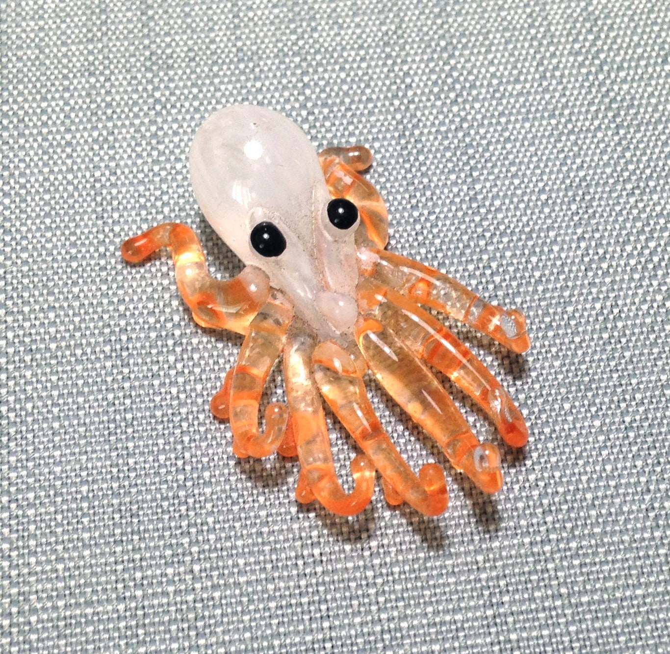Cute Real Octopus