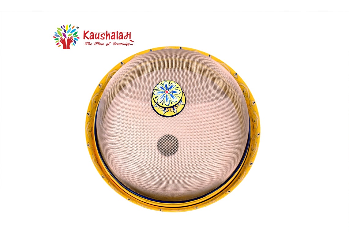 Mesh Food Screen Bug Cover and Tray Hand Painted Cloche With | Etsy