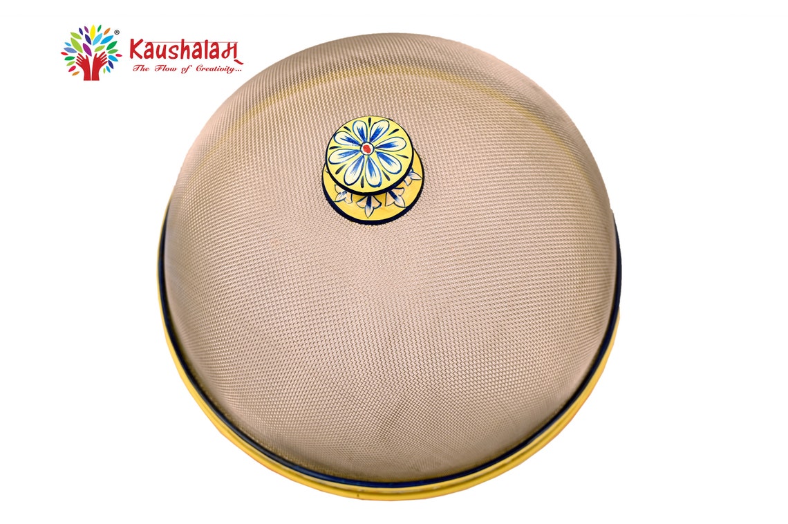 Mesh Food Screen Bug Cover and Tray Hand Painted Cloche With | Etsy