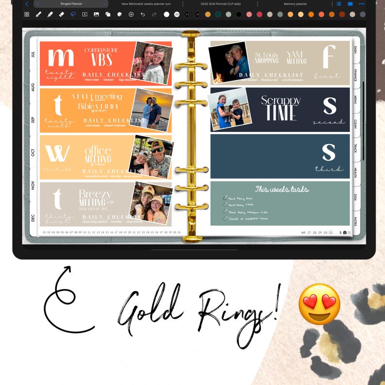 Rings for Ringed Planner | Use in Goodnotes and Noteful, Gold, Black ...