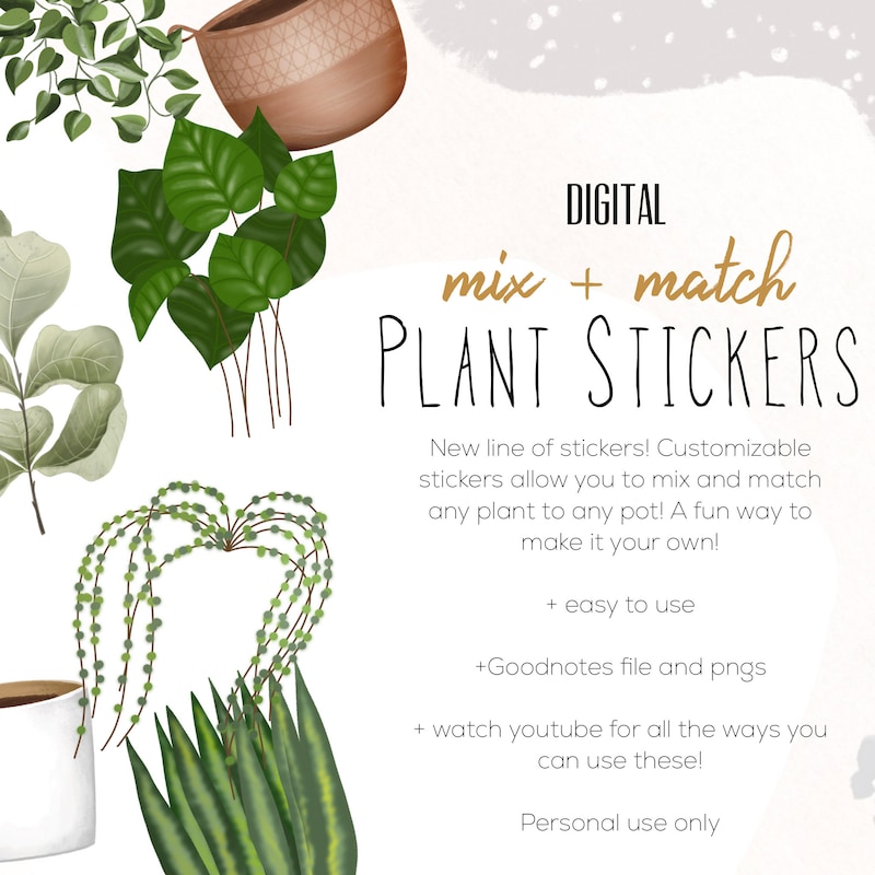 Plant Stickers - Etsy