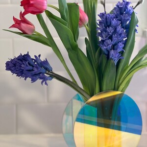 Rainbow Acrylic Barbie Vase Iridescent Vase Abstract Art - Etsy