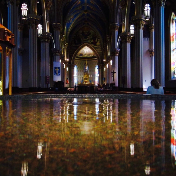 Notre Dame Font - Etsy UK