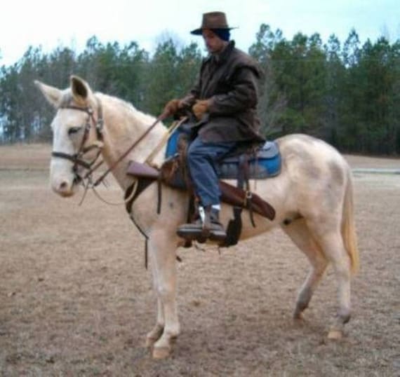 Rifle Scabbard, Cow Fur, Rifle case, Gray Fur, Brown … - Gem