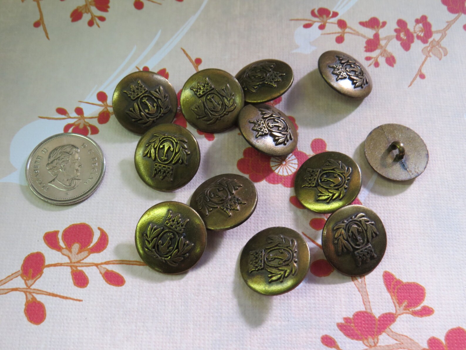 1 Dozen Coat of Arms Ant. Brass or Ant Silver Vintage Shank - Etsy