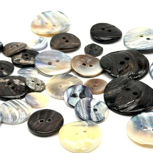 12 Vintage 2-hole Mussel Shell Buttons in Brown or Blue | Antique ...