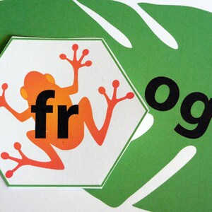 Tree Frog Word Family Game - Etsy
