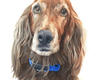 Dog Irish Setter Pencil Drawing Print A4 Size Artwork Signed by Artist ...