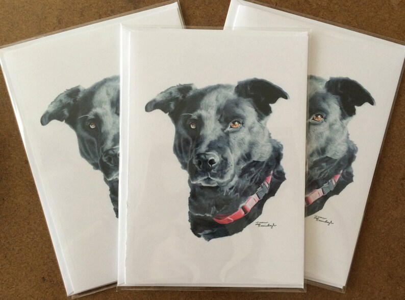 Greeting Card of Lab / Shepherd Mix Drawing - Etsy