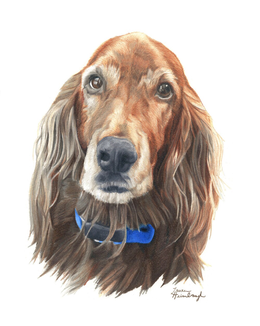 Greeting Card of Irish Setter Drawing - Etsy
