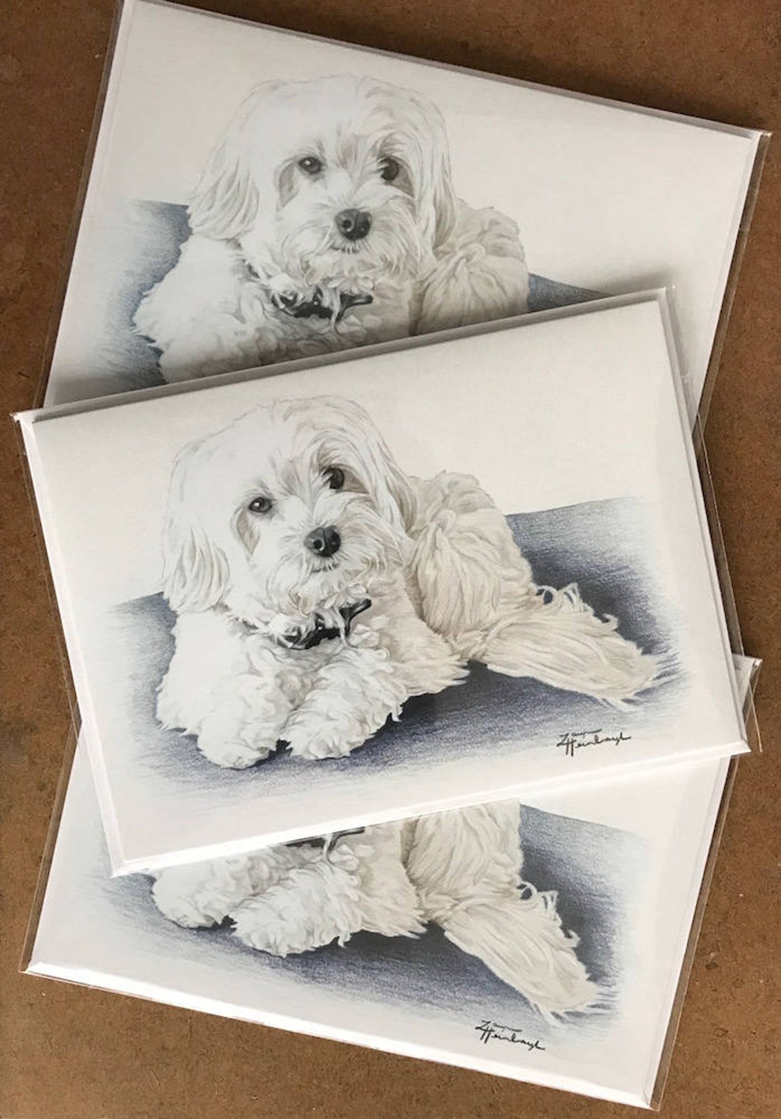 Greeting Card of Havanese Drawing - Etsy