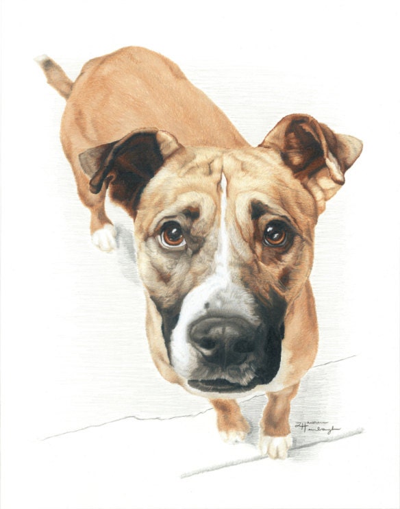 Greeting Card of Shepherd Mix Drawing - Etsy
