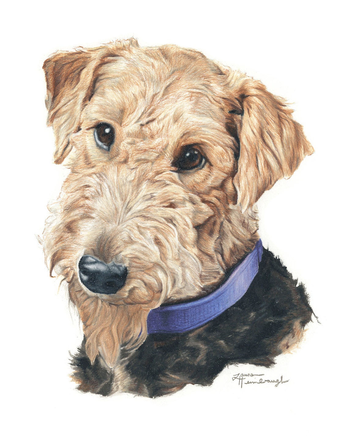 Print of Airedale Terrier Drawing - Etsy