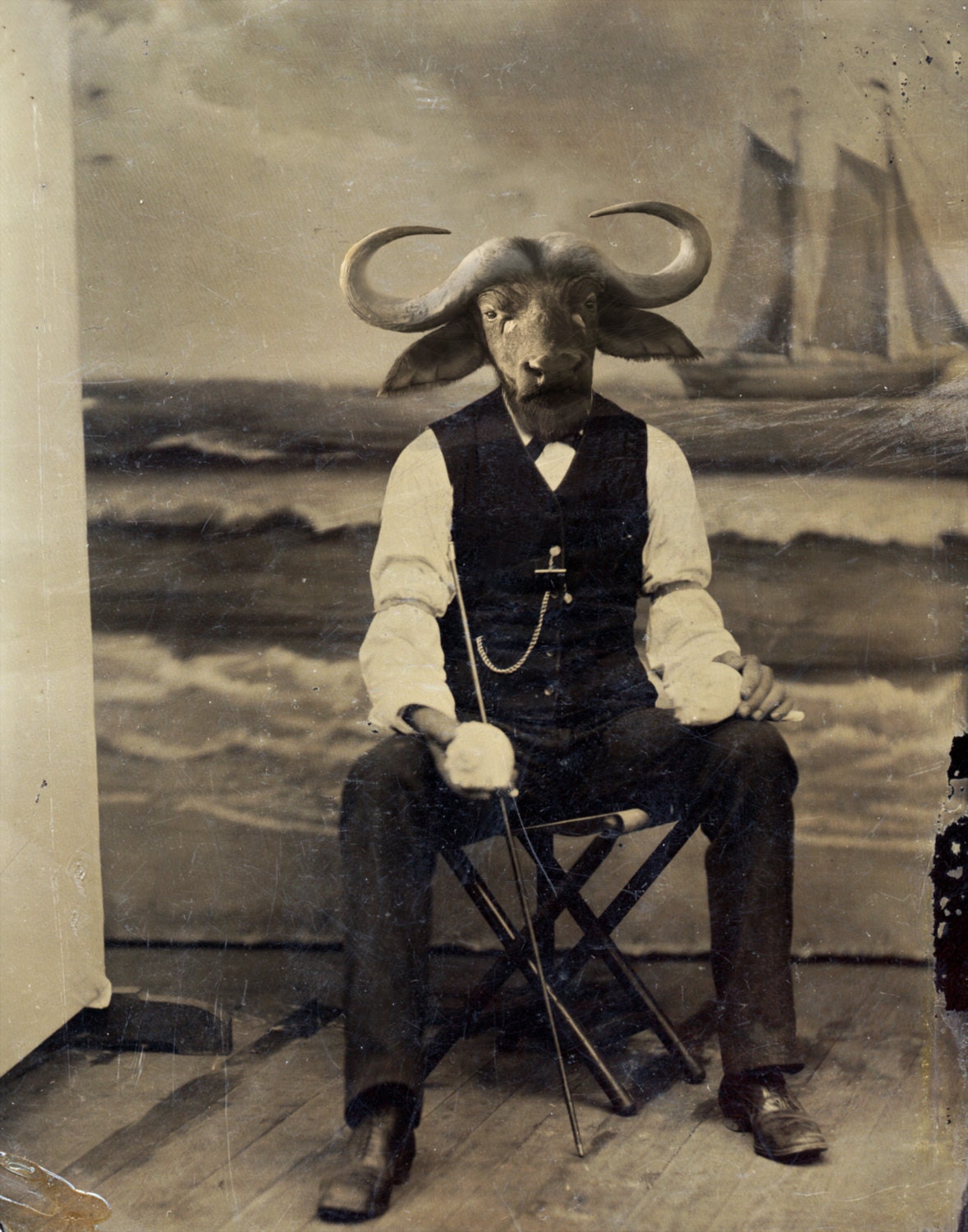 Distinguished Water Buffalo ~ Artwork by Kally Williams ...