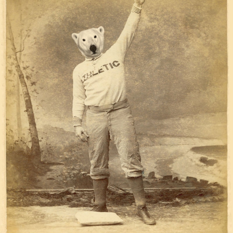 Pandamonium Pets - Etsy