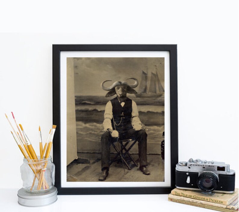 Distinguished Water Buffalo ~ Artwork by Kally Williams ...