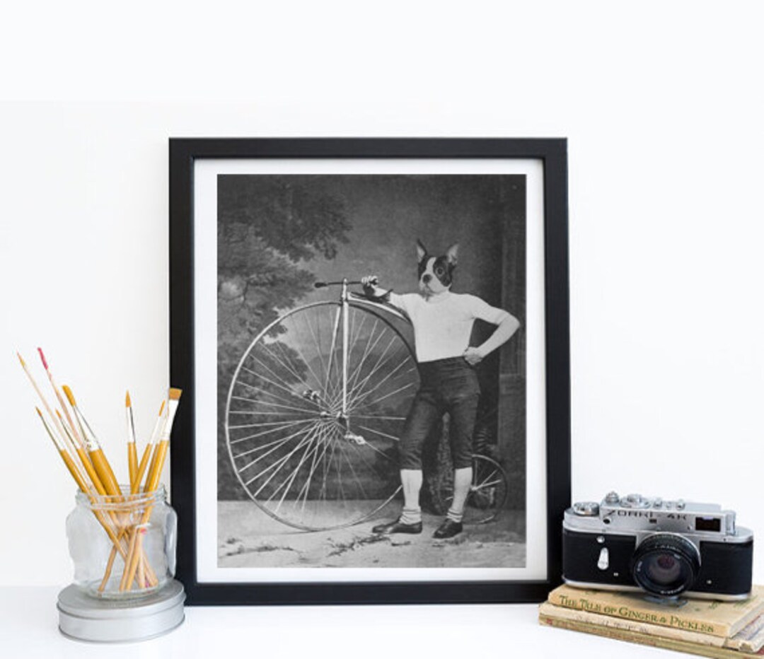 Boston Terrier With Bike ~ Artwork by Kally Williams, Anthropomorphic ...