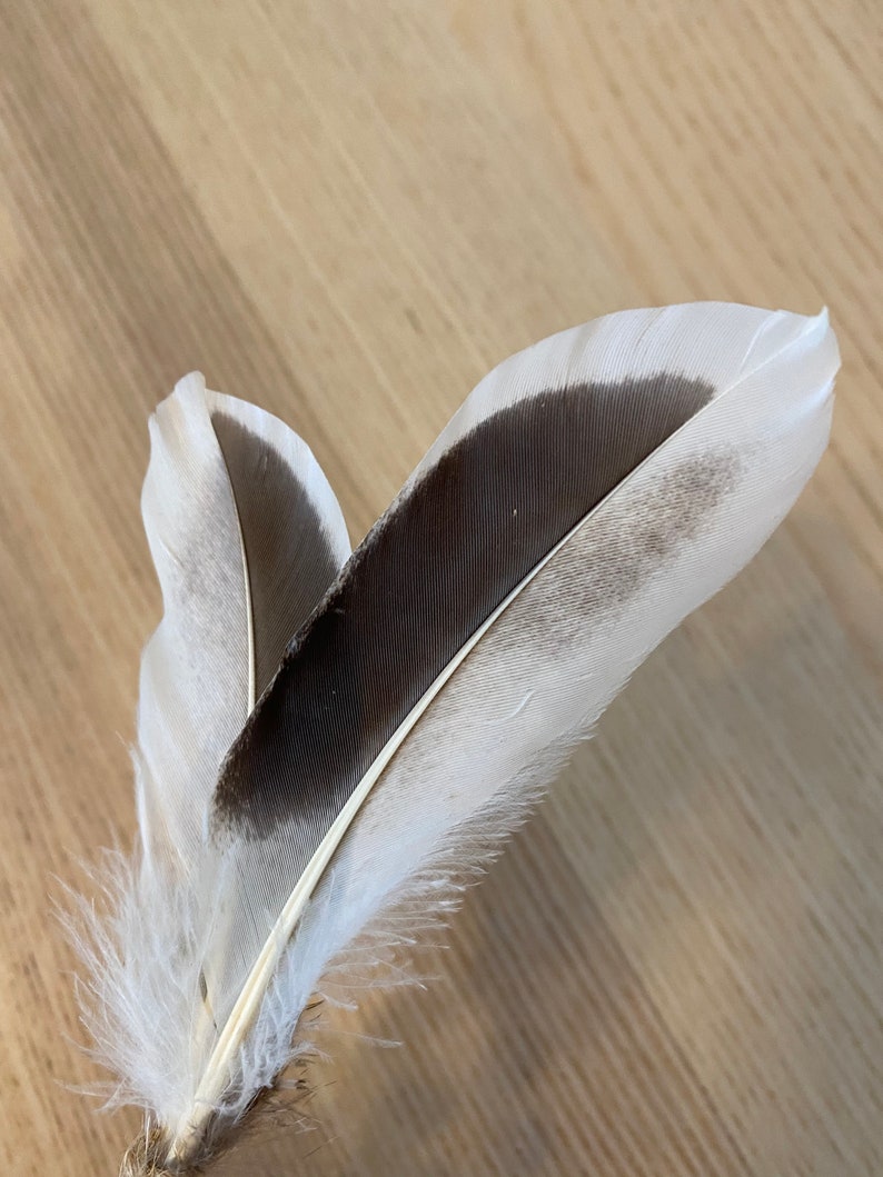 Real Feather Handmade Lapel Pin - Etsy