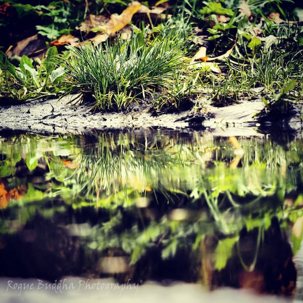 Puddle Reflection - Etsy