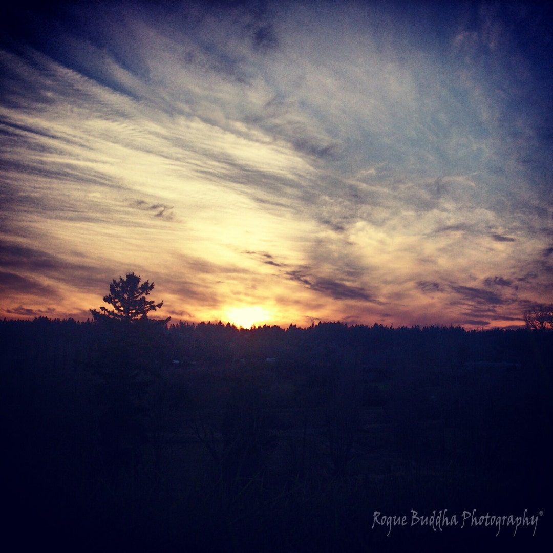 Saturated Sunset With Tree - Marymoor Park - Etsy