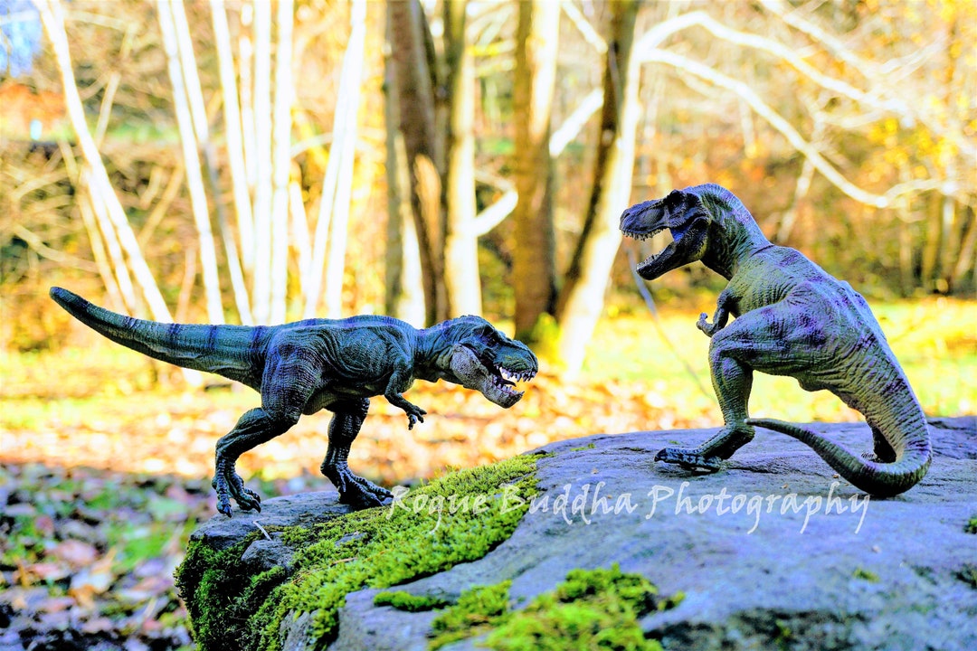 Tyrannosaurus Rex (t-rex) on the Edge - Etsy