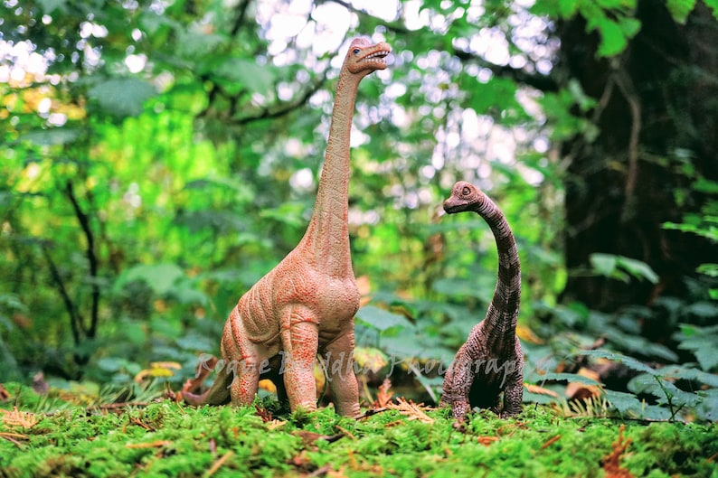 Brachiosaurus Family - Etsy
