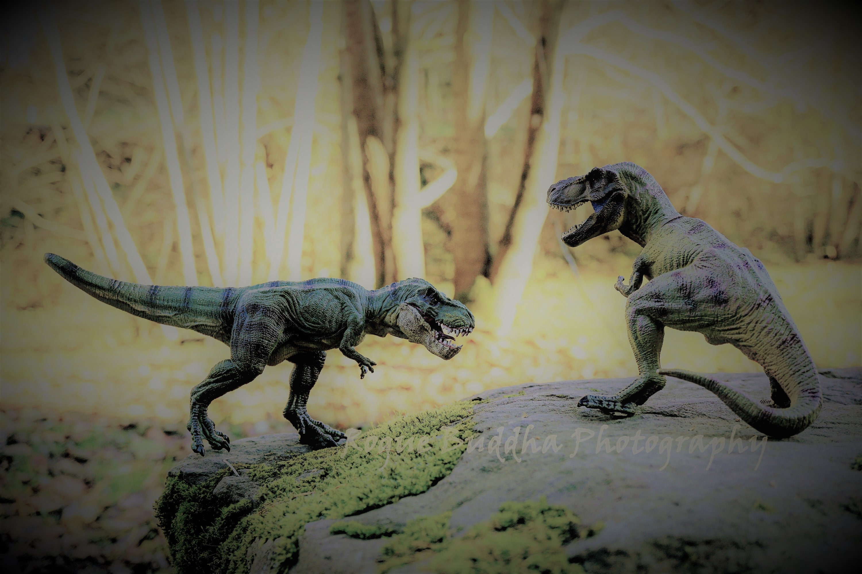 Tyrannosaurus Rex (t-rex) on the Edge - Etsy