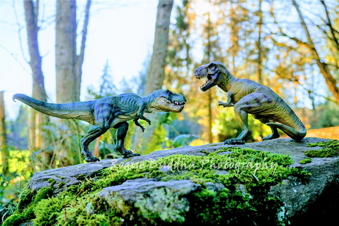 Tyrannosaurus Rex (t-rex) Face Off - Etsy