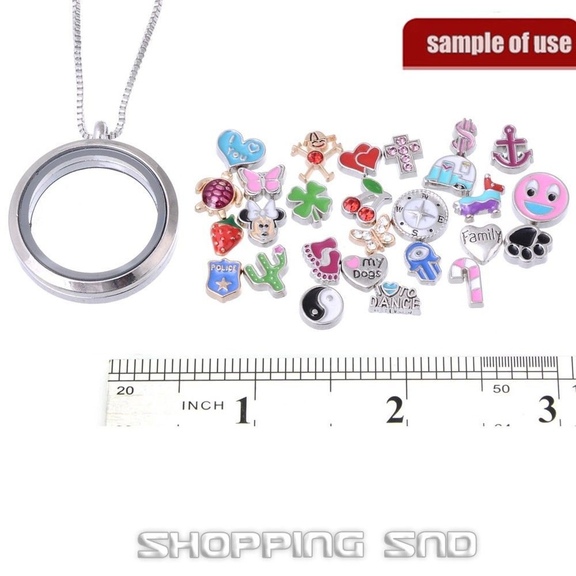 Assorted Lots of Floating Charms for Living Memory Lockets | Etsy