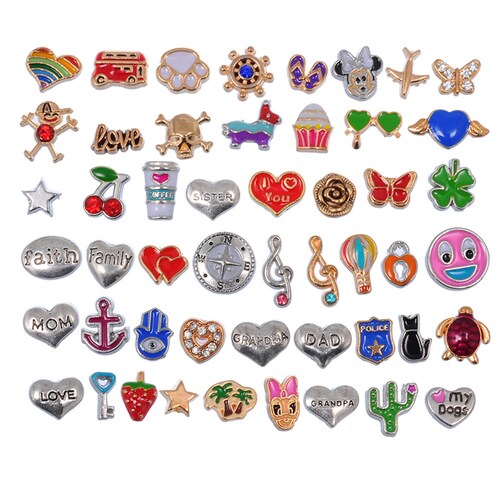 Assorted Lots of Floating Charms for Living Memory Lockets - Etsy