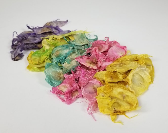 Angel Wings 2 Qts Wedding Confetti, Natural Confetti, Many Colors - Etsy