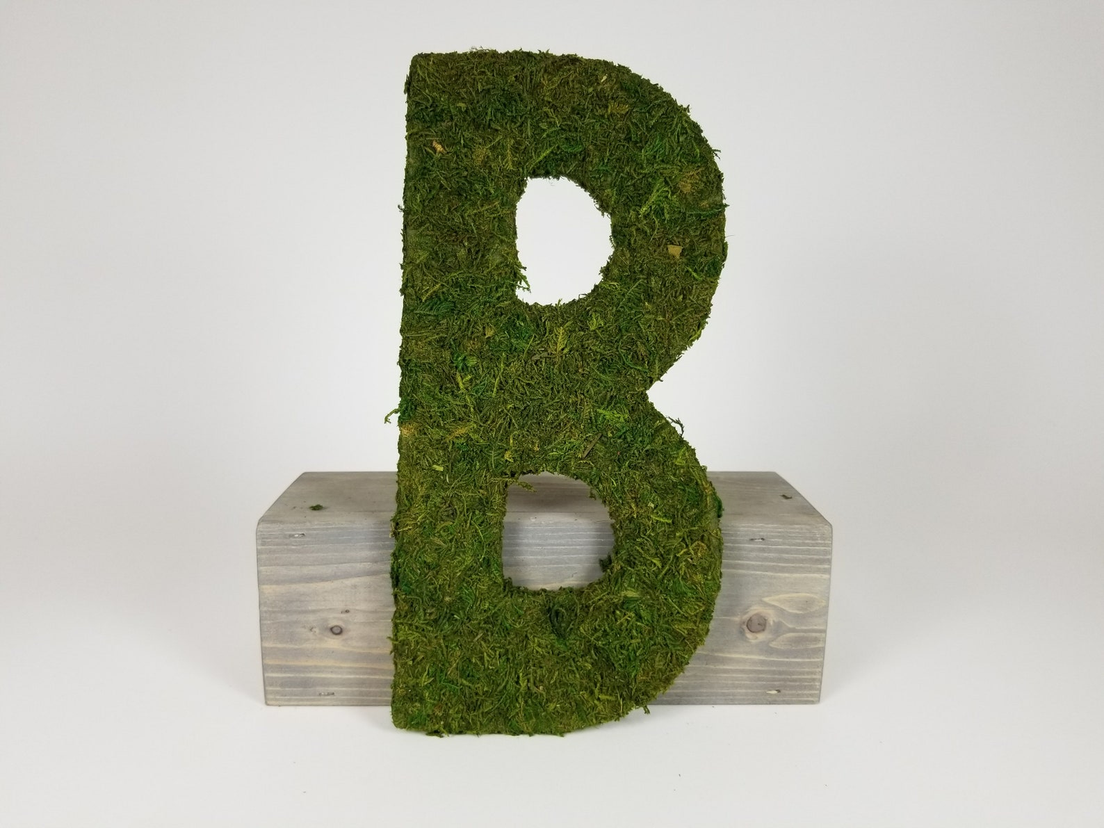 Moss Letters 10 Inches - Etsy