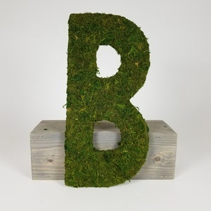 Moss Letters 10 Inches - Etsy