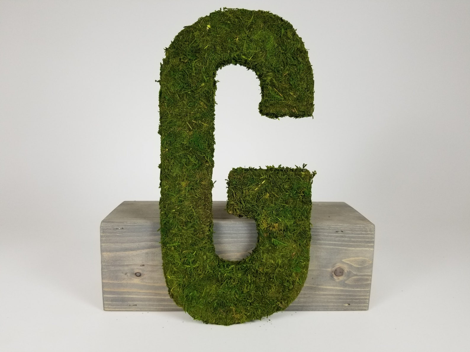Moss Letters 10 Inches - Etsy
