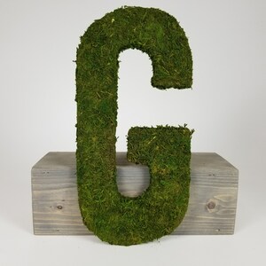 Moss Letters 10 Inches - Etsy