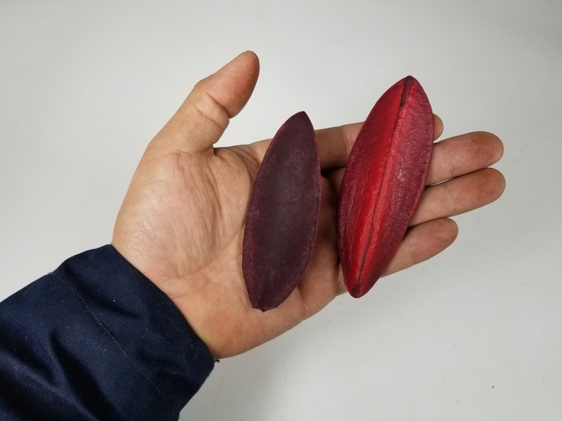 Triangle Pods-2 Quarts - Etsy