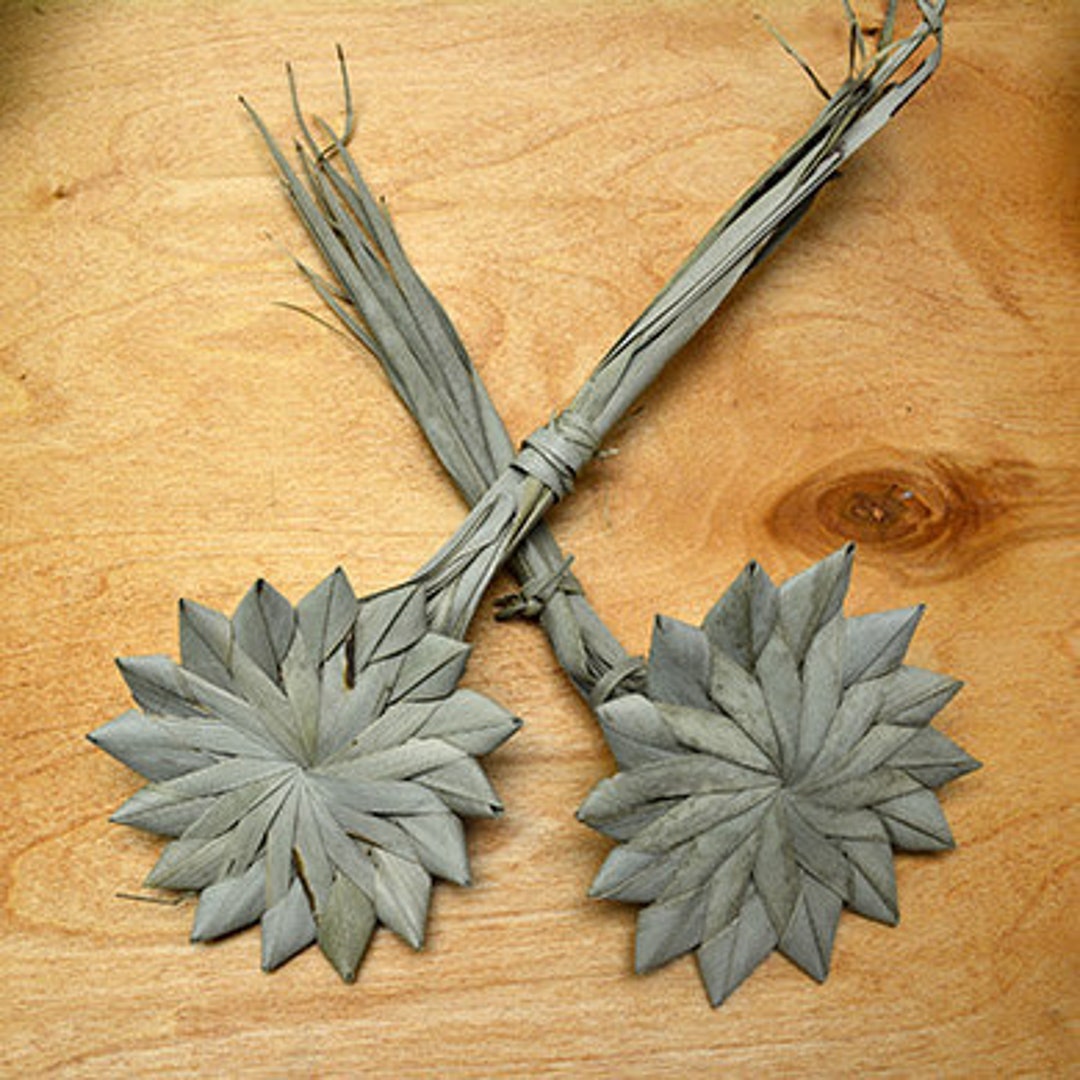 Khejur Sunny With Tail 10cm - 6pcs - Etsy