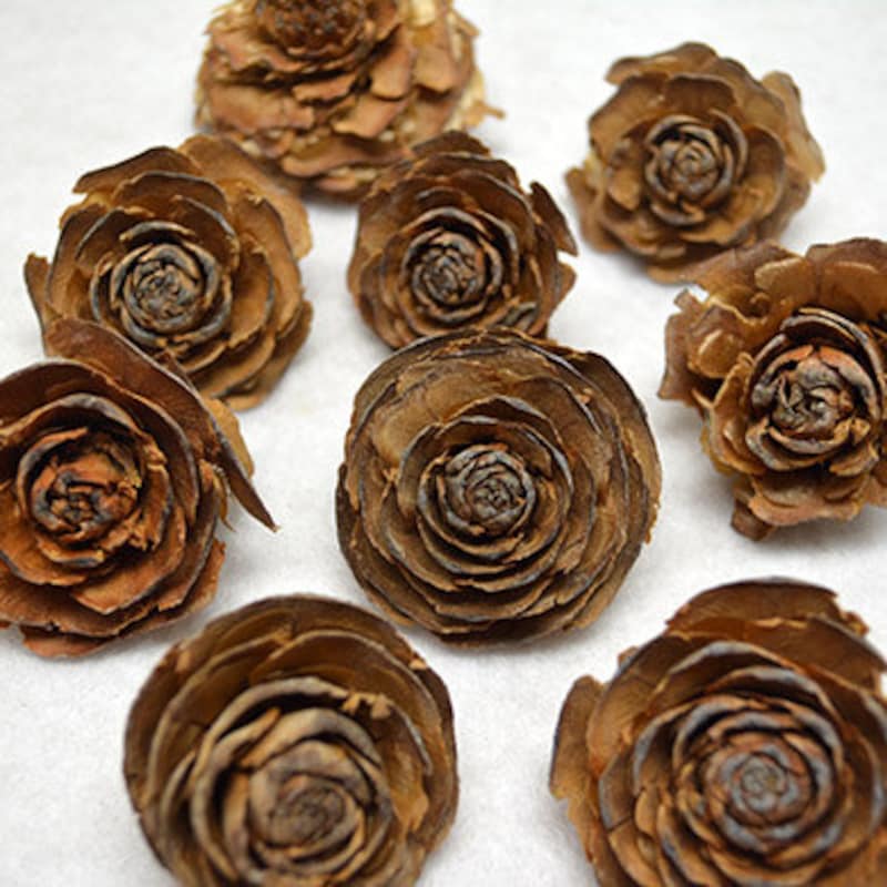 Cedar Roses - Etsy