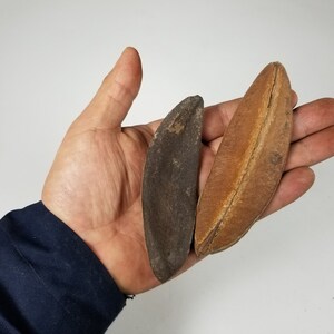 Triangle Pods-2 Quarts - Etsy