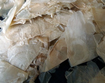 Angel Wings Confetti - Etsy