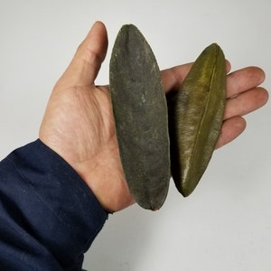 Triangle Pods-2 Quarts - Etsy